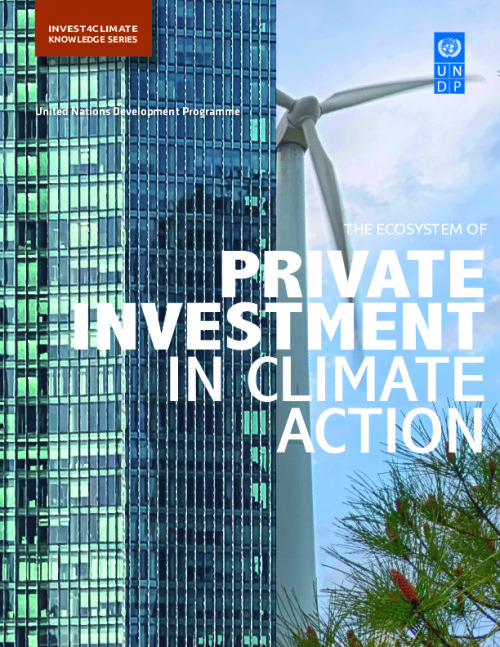 The Ecosystem of Private Investment in Climate Action | Sustainable finance hub